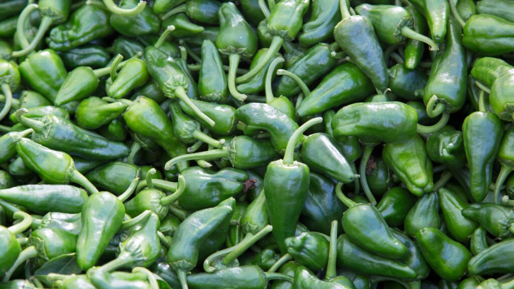 Blistered Padron Peppers with Green Aioli | Poetry of Spices